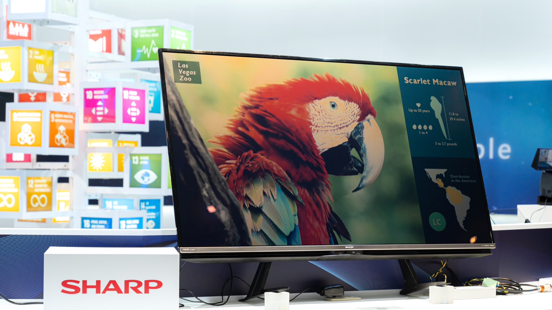 SHARP 夏普展出 A2 ePoster 電子紙海報、55 吋 IGZO 反射 LCD 顯示器 - News Pie